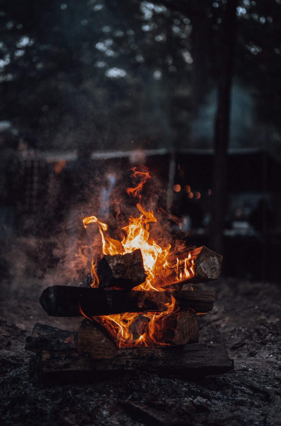 Five Pines Back In | Ohiopyle Suites